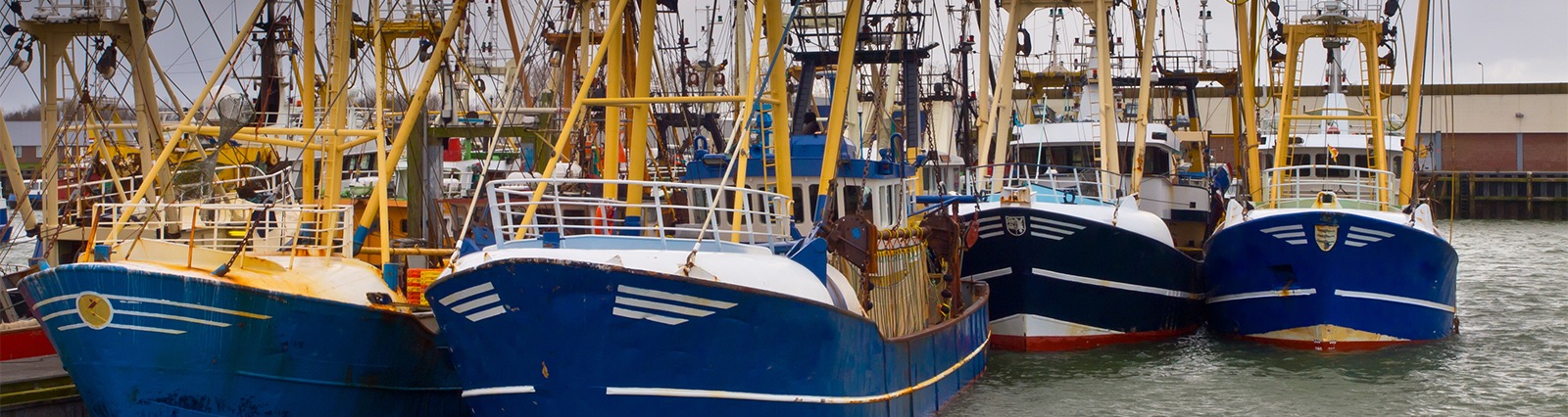 EFICE Supply Expectations - EFICE